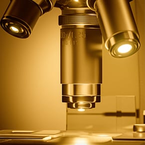 Skin Longevity Research | Age-Reversing Technology | Estée Lauder ...